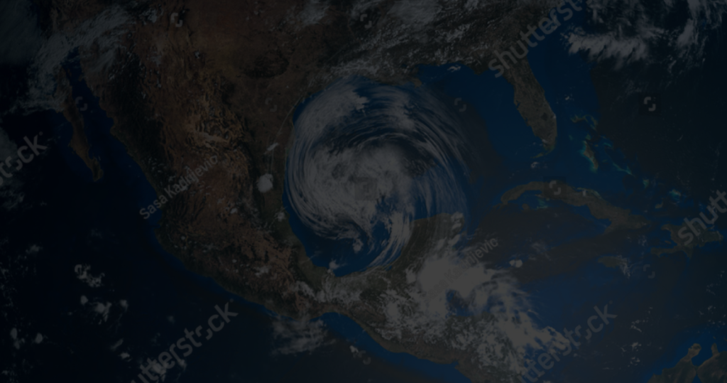 what-bg – Animal Evac New Zealand